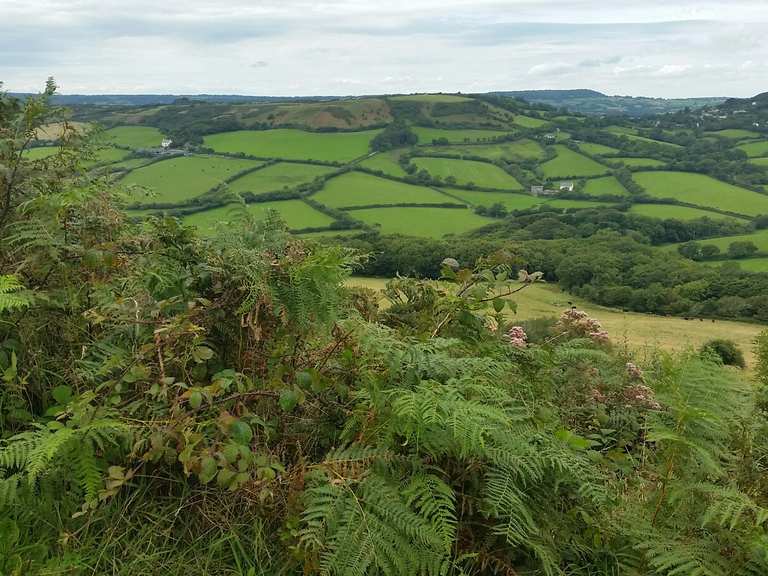 Golden Cap Routes for Walking and Hiking | Komoot