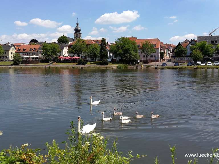 Marktheidenfeld : Radtouren und Radwege | komoot