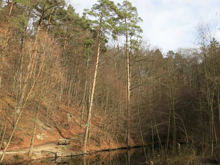 Eichensee: Wanderungen und Rundwege | komoot