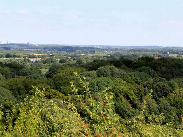 Halde Grevel : Radtouren und Radwege | komoot