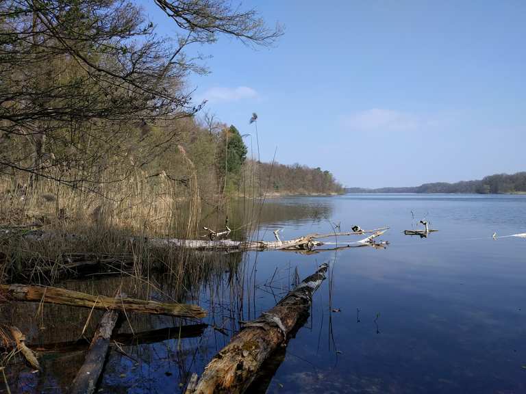 Zuidelijke uiteinde van de Sacrower See wandelroutes en hikes | Komoot