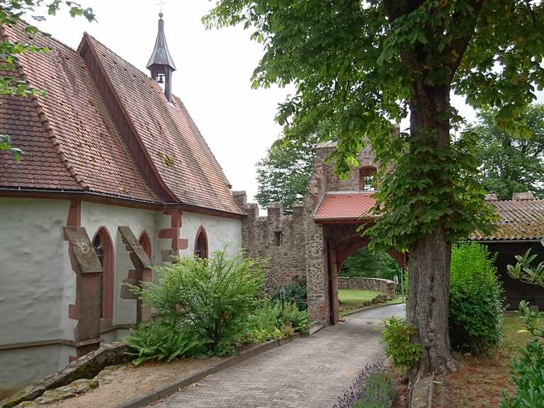 Schloss Reichenberg: Wanderungen und Rundwege | komoot