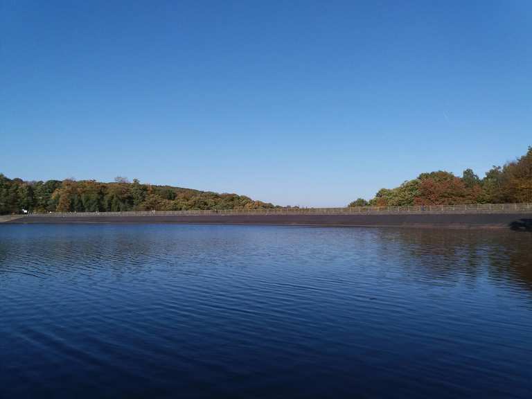Steinbachtalsperre: Wanderungen und Rundwege | komoot