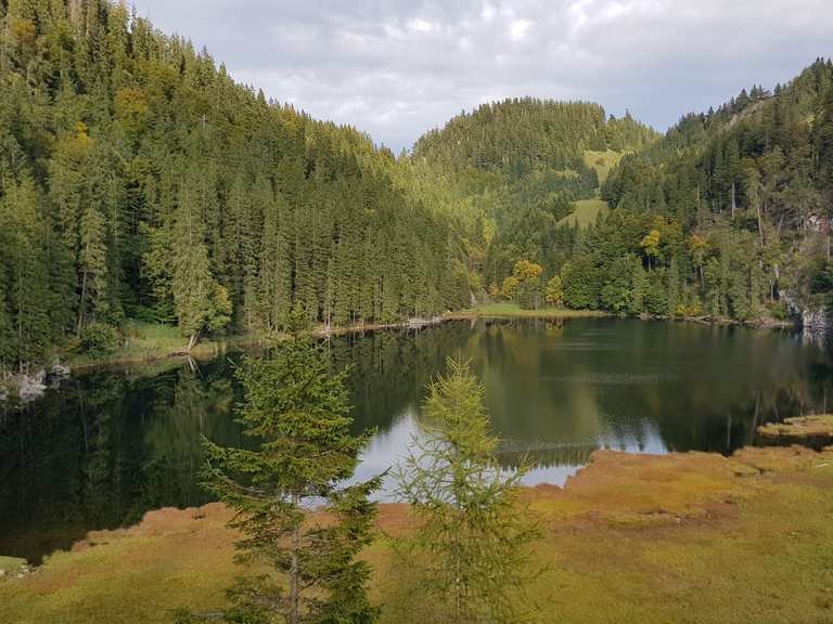 Taubensee: Wanderungen und Rundwege | komoot