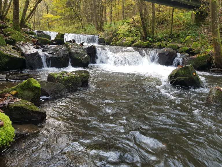 Sieg "Wasserfall": Mountainbike-Touren und -Trails | komoot