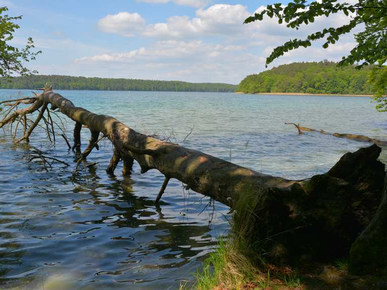 Großer Stechlinsee : Radtouren und Radwege | komoot
