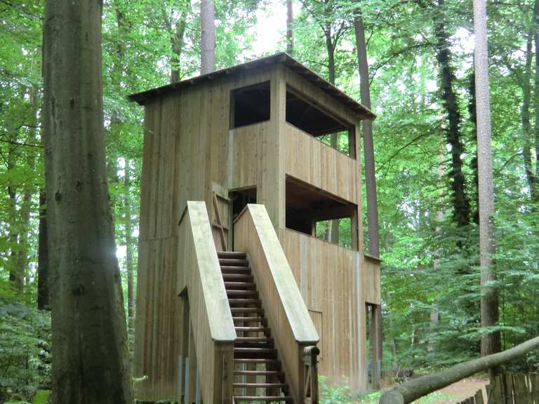 Wolfspark Werner Freund: Wanderungen und Rundwege | komoot