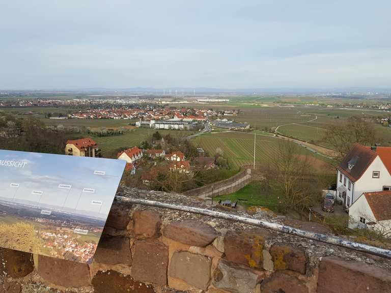 Burg Neuleiningen mit Museum im Burgturm Routes for Walking and Hiking ...