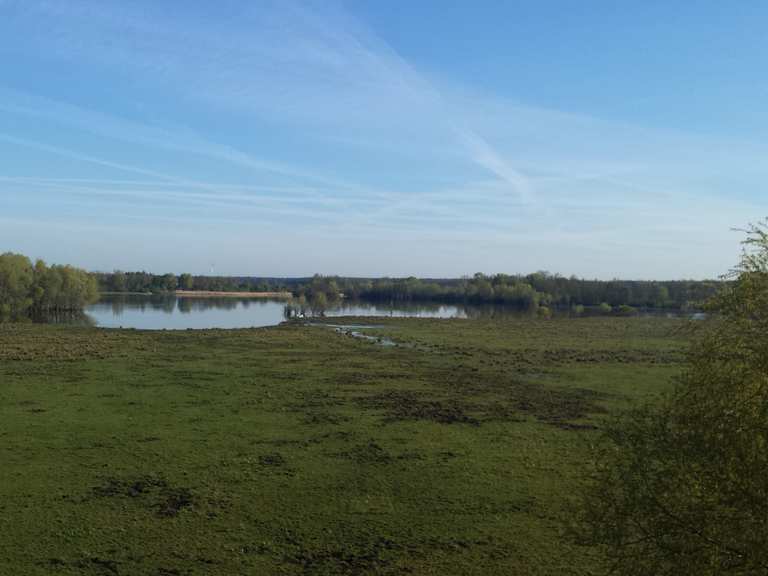 Aussichtsturm Ilkerbruch Routes for Walking and Hiking | Komoot