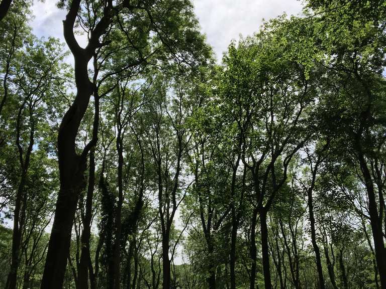 Aspley Heath loop from Longslade Lane | hike | Komoot