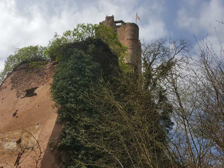 Burg Ramstein: Wanderungen und Rundwege | komoot