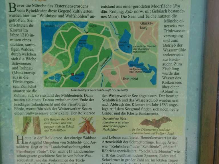 Roikier See Routes for Walking and Hiking | Komoot