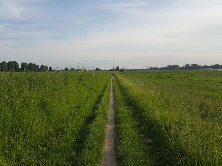 Typische Landschaft am Rhein : Radtouren und Radwege | komoot