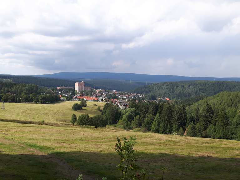 Altenau - 2 HWN | hike | Komoot