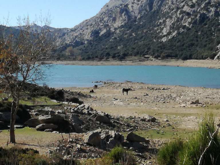 Embalse de Cúber - Itinéraires de rando et marche | Komoot