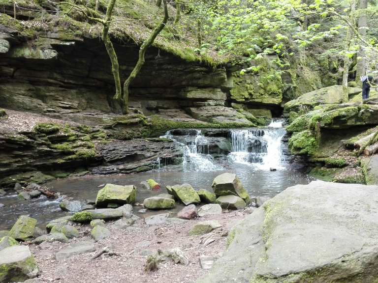 Monbachtal Gorge - Routes for Walking and Hiking | Komoot