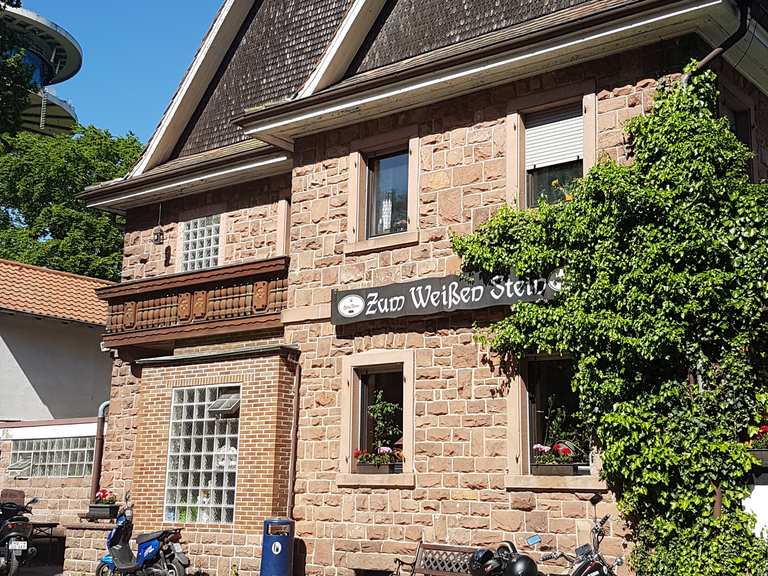 Gasthaus Zum Weißen Stein: Wanderungen und Rundwege | komoot