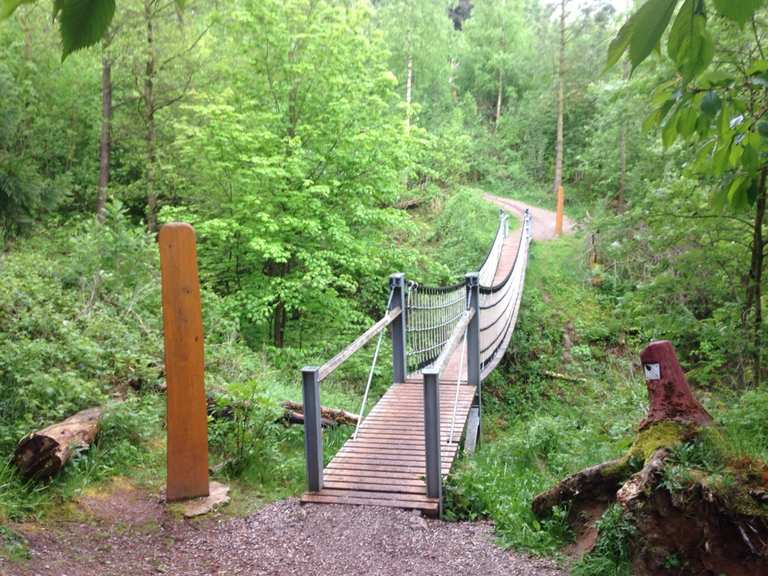 WeltWald Bad Grund Routes for Walking and Hiking | Komoot