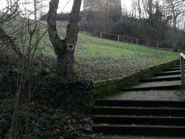 Schloss und Wasserturm Sternenfels Routes for Walking and Hiking | Komoot