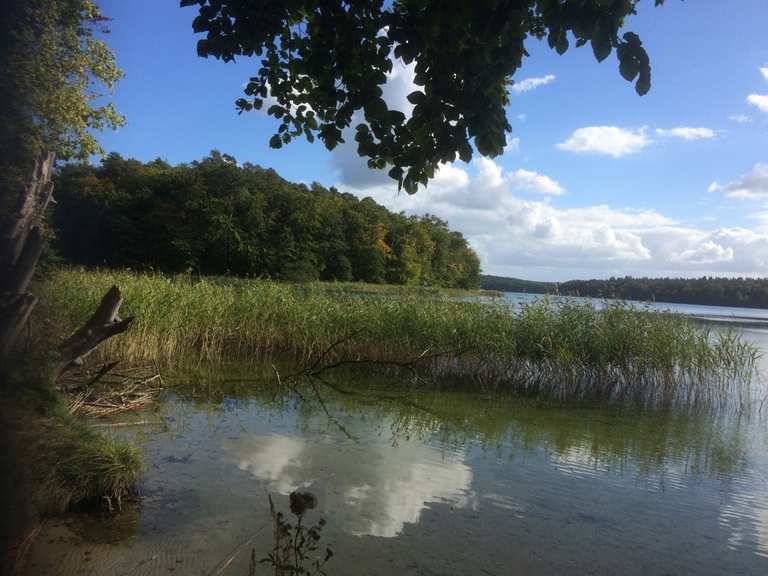 Brandenburg - Großer Stechlinsee : Radtouren und Radwege | komoot