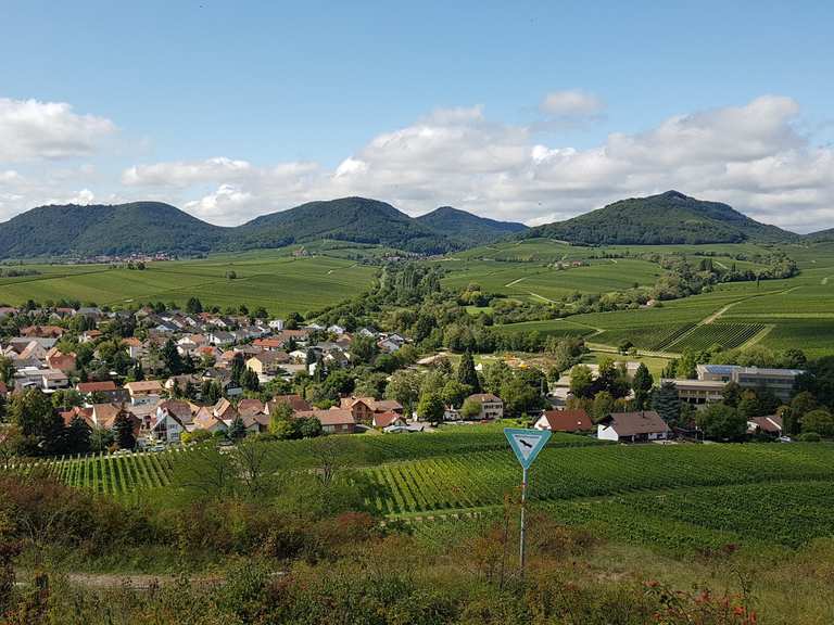 Kleine Kalmit mit Kapelle: Wanderungen und Rundwege | komoot