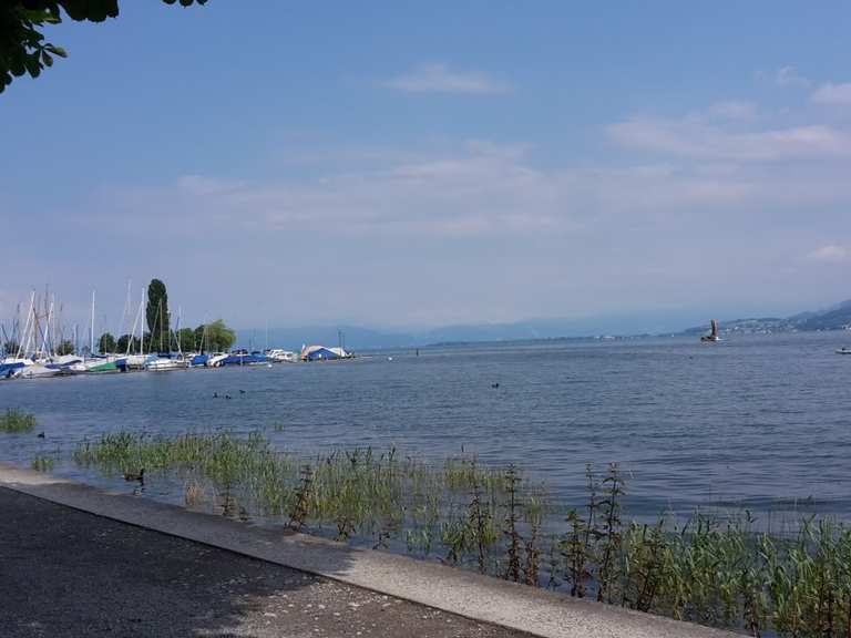 Arbon Seepark : Radtouren und Radwege | komoot