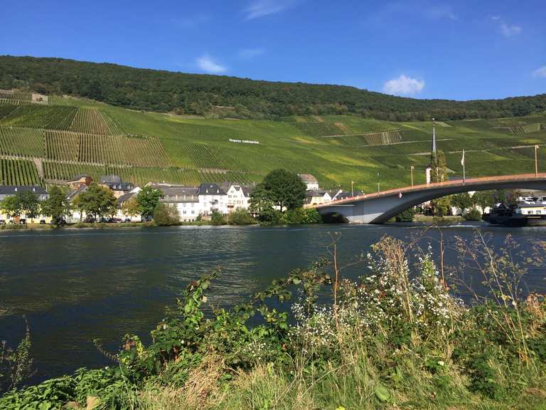 Moselbrücke Piesport - Cycle Routes and Map | Komoot
