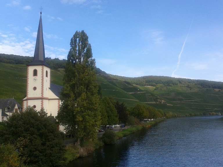 Moselbrücke Piesport - Cycle Routes and Map | Komoot