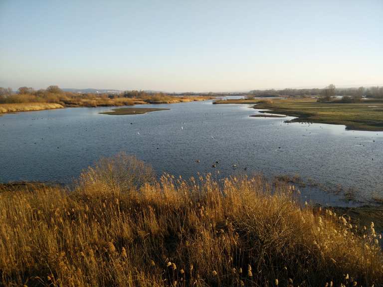 Vogelinsel im Altmühlsee Routes for Walking and Hiking | Komoot