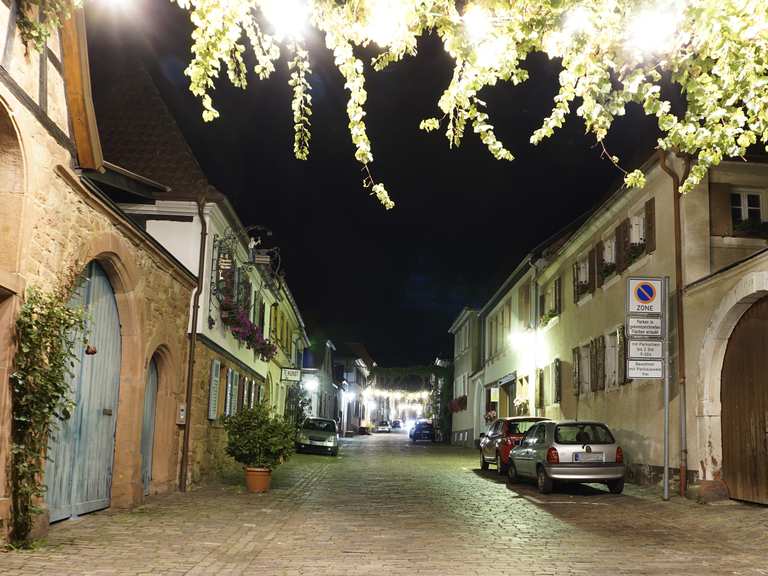 Rhodt unter der Rietburg : Radtouren und Radwege | komoot