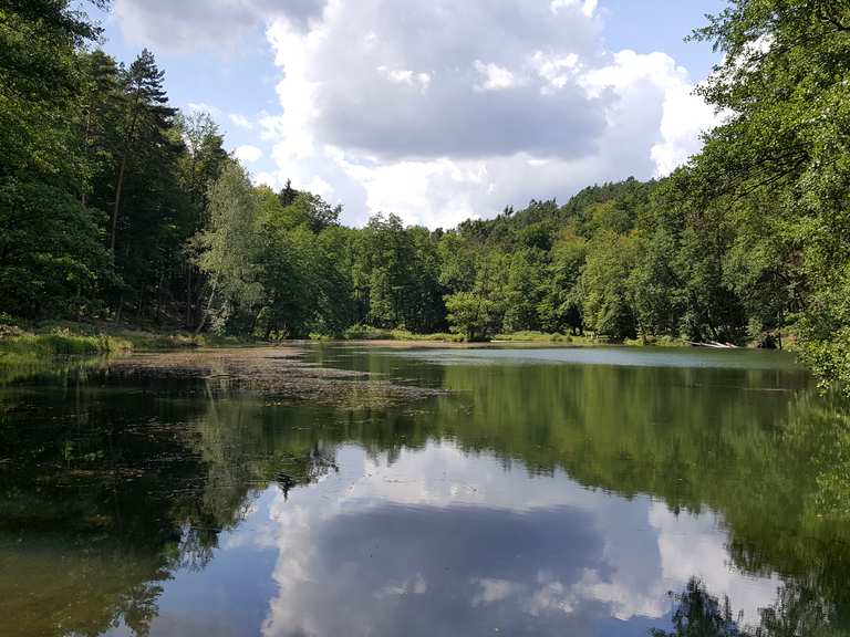 Teufelssee: Wanderungen und Rundwege | komoot