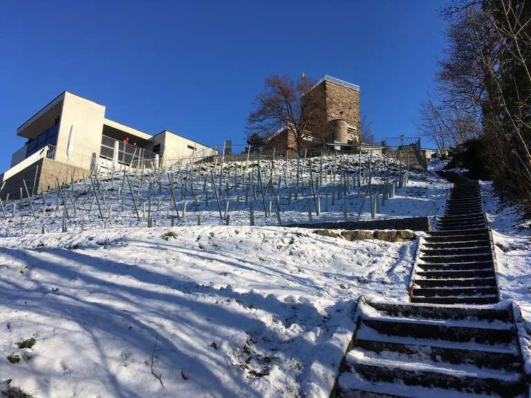 Turmberg Karlsruhe-Durlach: Wanderungen und Rundwege | komoot