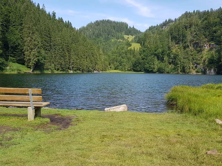 Taubensee: Wanderungen und Rundwege | komoot