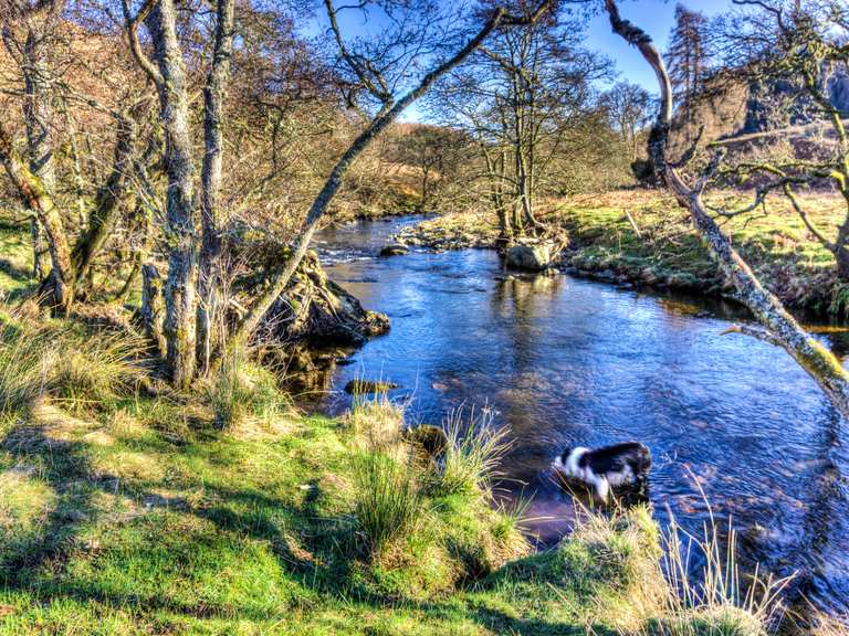 Banks of Lednock - Routes for Walking and Hiking | Komoot