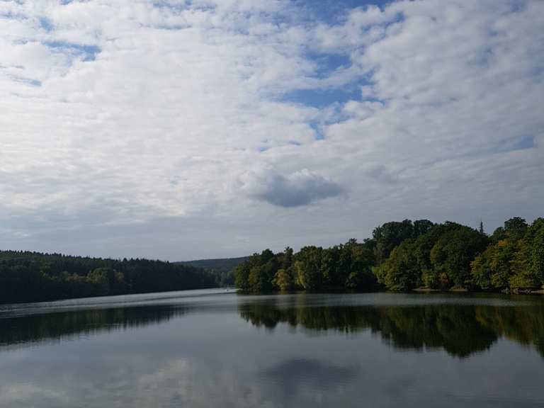 Steinbachtalsperre: Wanderungen und Rundwege | komoot