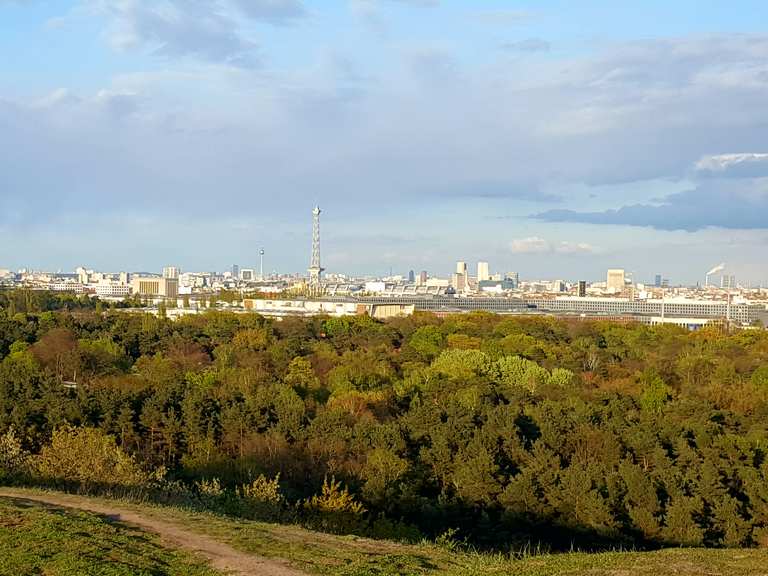 Drachenberg Routes for Walking and Hiking | Komoot