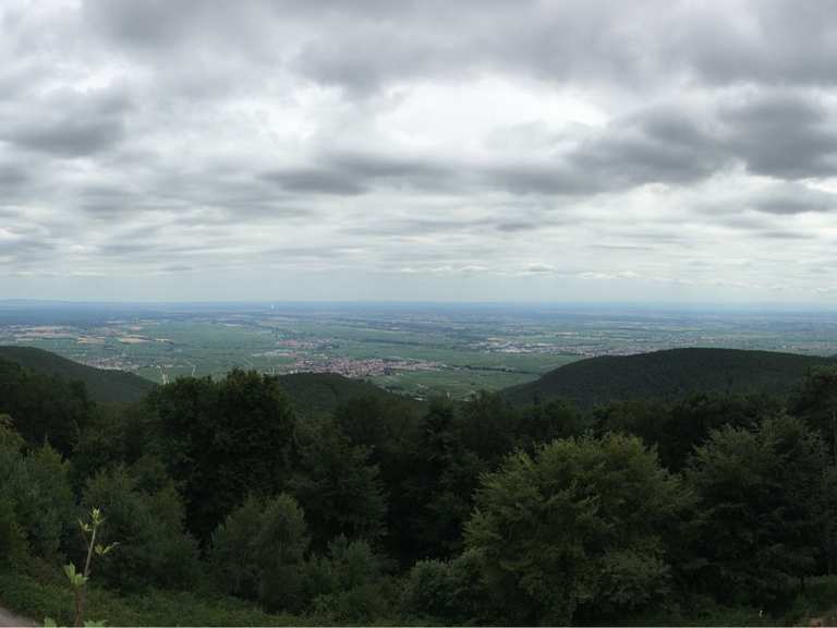 Kalmit: Wanderungen und Rundwege | komoot