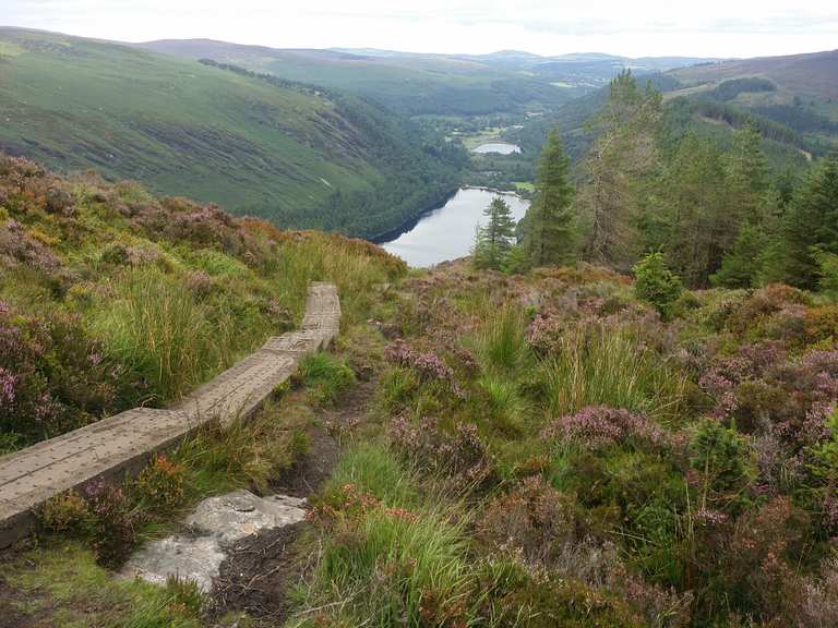 The Spinc Routes for Walking and Hiking | Komoot