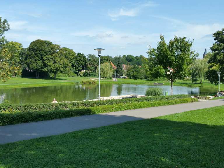 Elsenz See: Mountainbike-Touren und -Trails | komoot