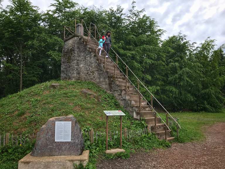 Signal de Botrange - Lüttich, Belgium | Hiking Tips & Photos | Komoot