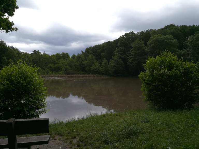 Annasee - Beilstein, Heilbronn | Hiking Tips & Photos | Komoot