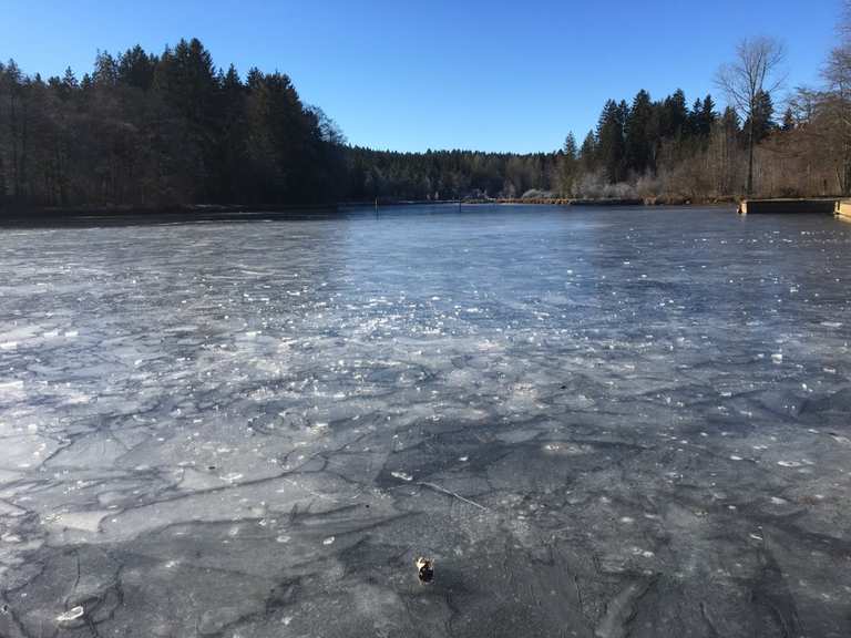 Waldsee bei Lindenberg - Lindenberg im Allgäu, Lindau (Bodensee ...