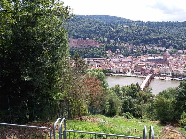 Philosophenweg Heidelberg Routes for Walking and Hiking | Komoot