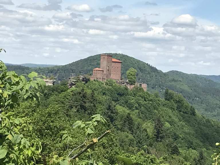 Burg Scharfenberg (Münz) Routes for Walking and Hiking | Komoot