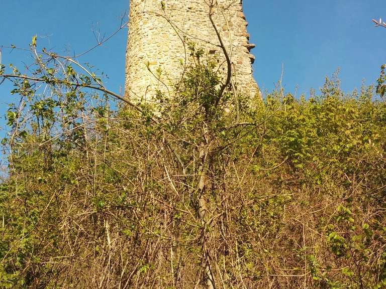 Schneeburg Routes for Walking and Hiking | Komoot