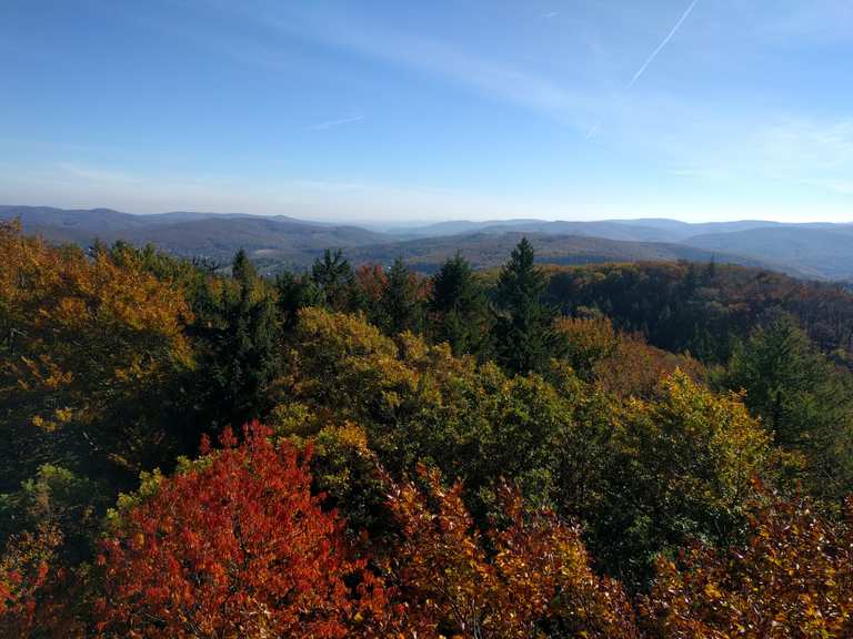 Troppbergwarte - Gablitz, Vienna Surroundings | Hiking Tips & Photos ...