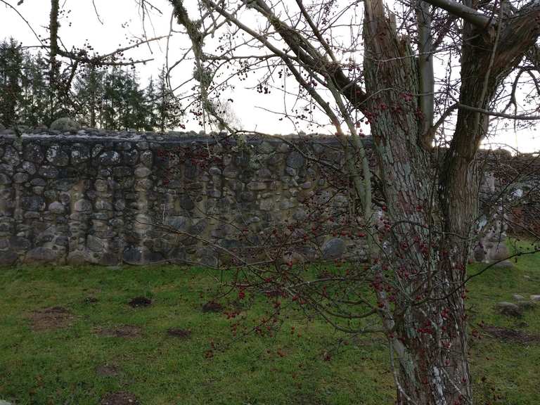 Gurre Schloss (Ruine) Routes for Walking and Hiking | Komoot