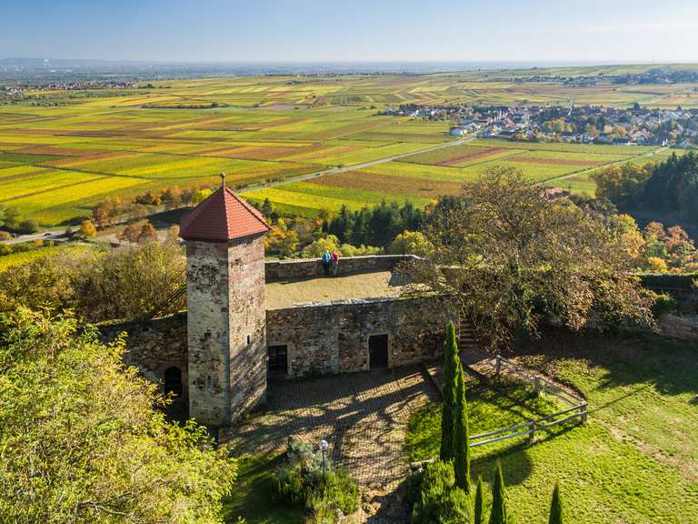 Burg Battenberg Routes for Walking and Hiking | Komoot