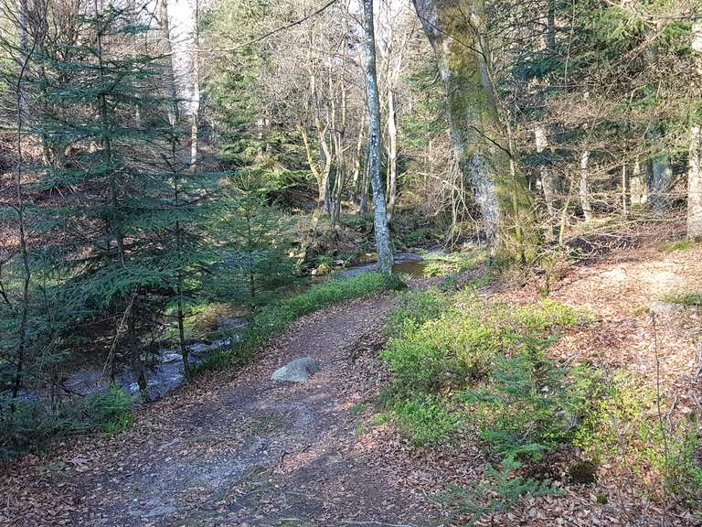 Eyach Wasserwegle: Wanderungen und Rundwege | komoot