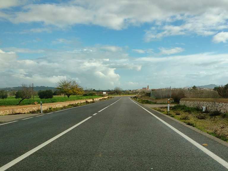 Vuelta al Puig de Randa – the best climbs in Majorca | road ride | Komoot